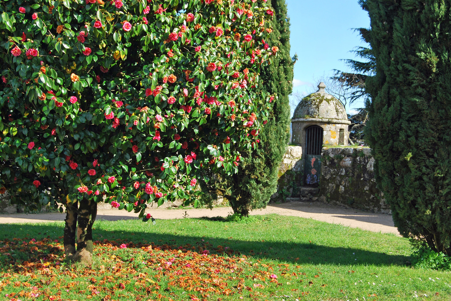 O Castro Park - GALICIA